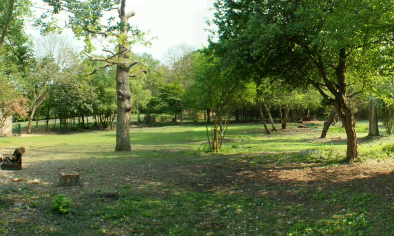 Park Farm – The Camp Site of Banstead Scouts
